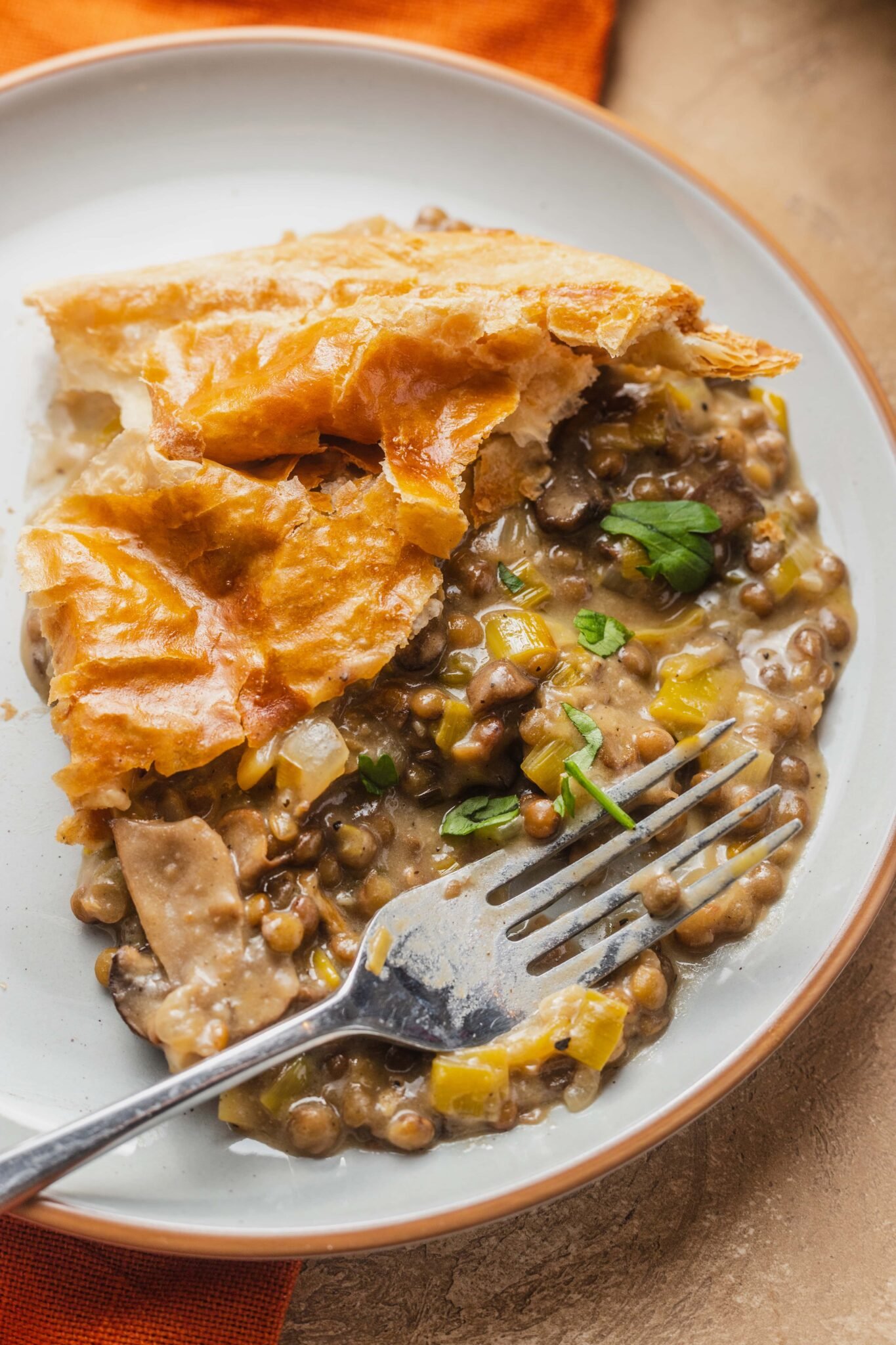 Vegetarian Lentil Pot Pie with Mushrooms and Leeks - Home Cooking ...