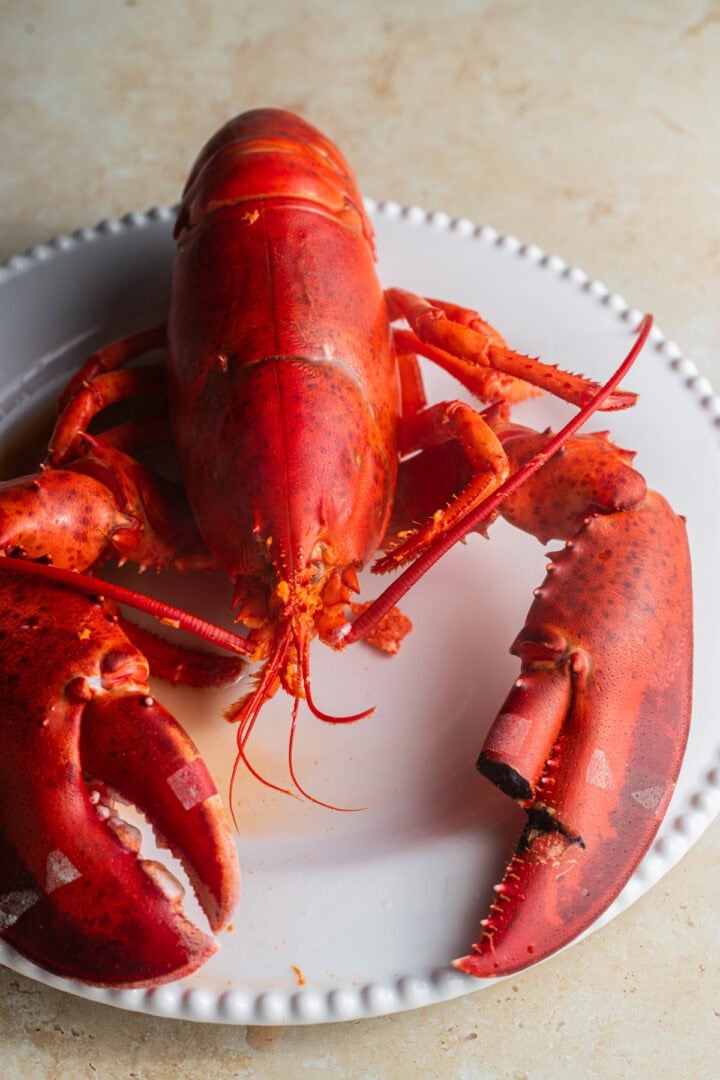 How To Boil Lobster (Classic Maine Lobster Recipe) - Home Cooking ...