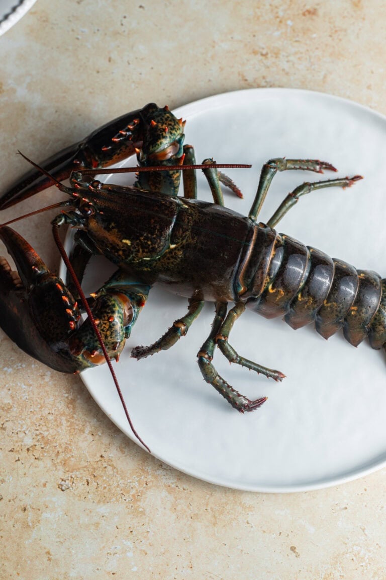 How To Boil Lobster (Classic Maine Lobster Recipe) - Home Cooking ...