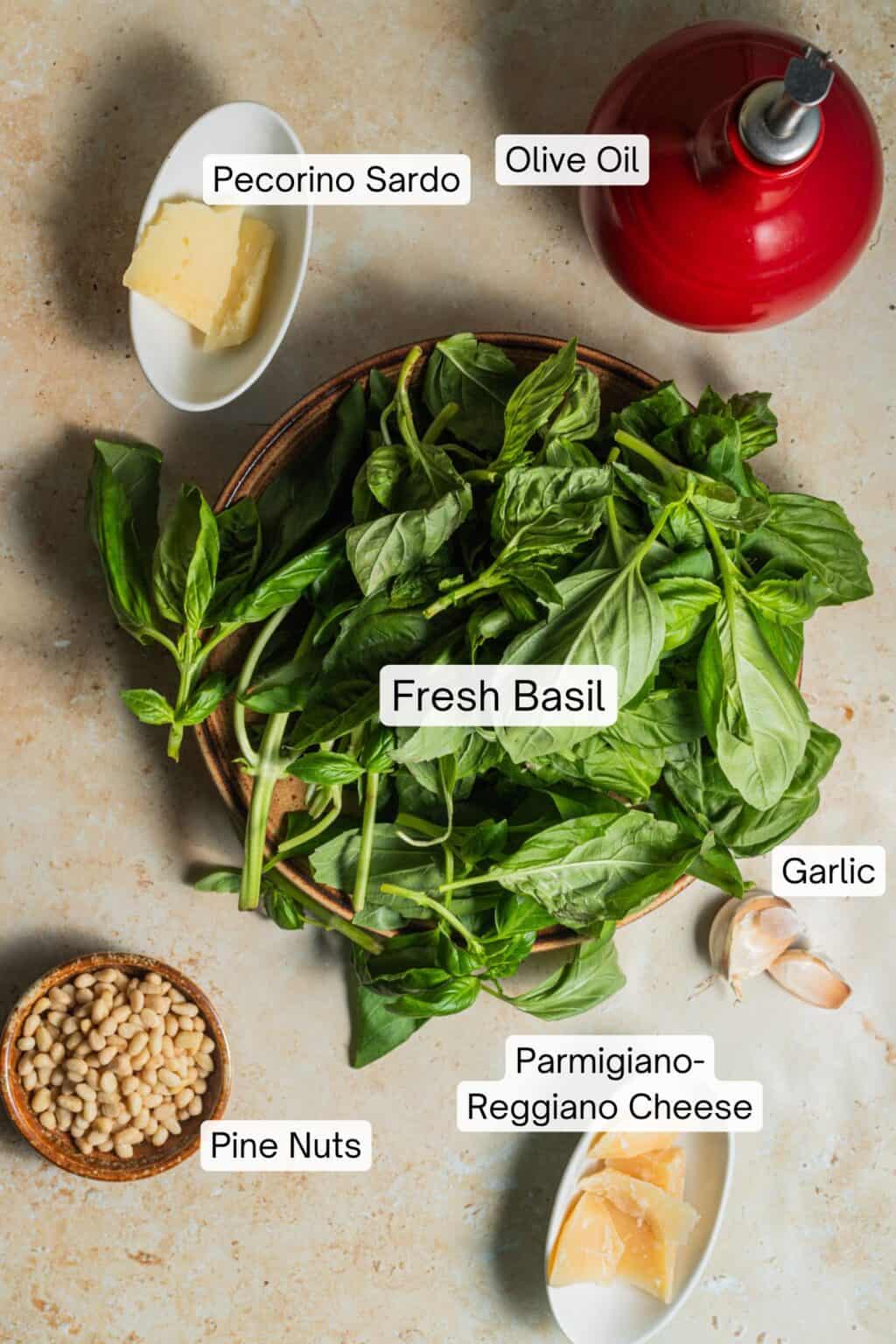 Pesto alla Genovese (Homemade Basil Pesto) - Home Cooking Collective